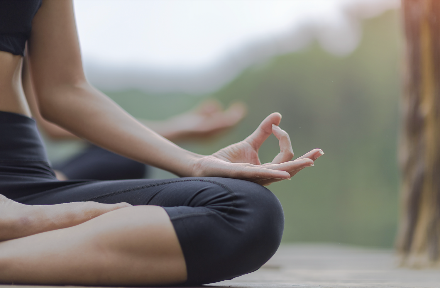 Lucid Labs NZ | Premium Wellness Supplements | Natural Health Products